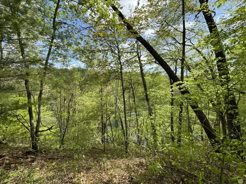 Best Walking Trails in Allegan State Game Area | AllTrails