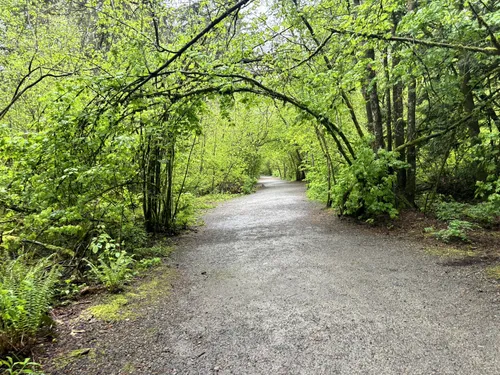 Best River Trails in Campbell Valley Regional Park | AllTrails