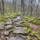 Bruce Trail: Niagara Section, Ontario, Canada - 428 Reviews, Map ...