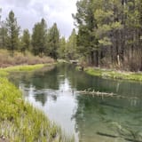 Fall River Loop, Oregon - 529 Reviews, Map | AllTrails