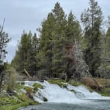 Fall River Loop, Oregon - 529 Reviews, Map | AllTrails