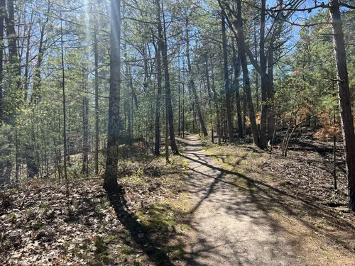 Best Camping Trails in Honor | AllTrails