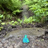 Washington Park Loop, Oregon - 1,685 Reviews, Map | AllTrails