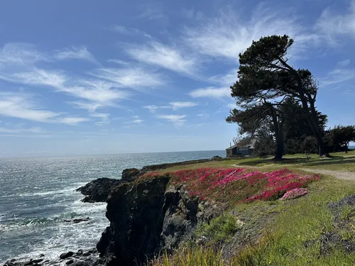 Best Hikes and Trails in Sea Ranch | AllTrails