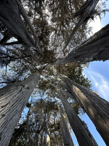 Best Hikes and Trails in Sea Ranch | AllTrails