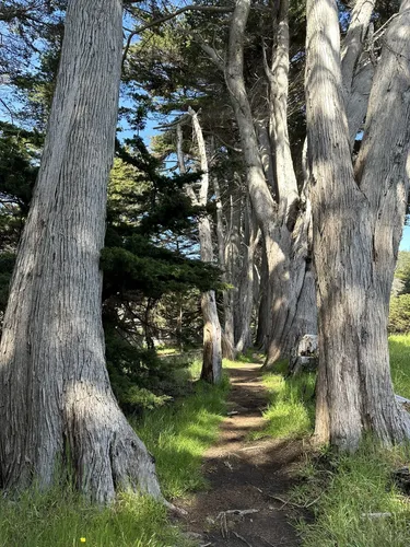 Best Hikes and Trails in Sea Ranch | AllTrails