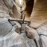 Bull Valley Gorge Trail, Utah - 195 Reviews, Map | AllTrails