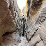 Bull Valley Gorge Trail, Utah - 206 Reviews, Map | AllTrails