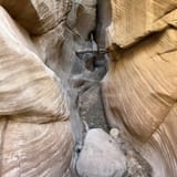 Bull Valley Gorge Trail, Utah - 195 Reviews, Map | AllTrails