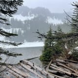 Annette Lake Trail, Washington - 5,688 Reviews, Map | AllTrails