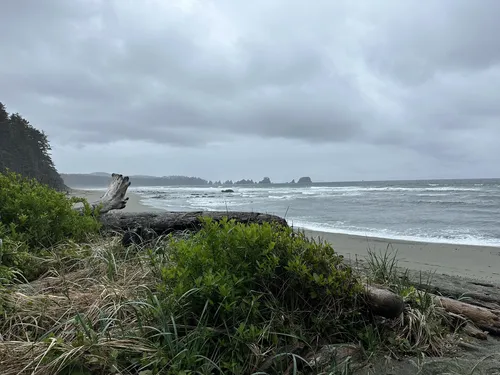 Best Backpacking Trails in Neah Bay | AllTrails