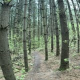 Komoka Provincial Park Loop, Ontario, Canada - 208 Reviews, Map | AllTrails