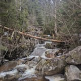 Mount Jackson and Mount Webster Trail Loop, New Hampshire - 2,171 ...