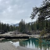 Widow Maker Trail, Alberta, Canada - 567 Reviews, Map | AllTrails