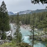 Widow Maker Trail, Alberta, Canada - 567 Reviews, Map | AllTrails