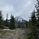 Widow Maker Trail, Alberta, Canada - 567 Reviews, Map | AllTrails