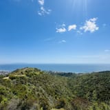 Paseo Miramar Trail , California - 2,259 Reviews, Map | AllTrails
