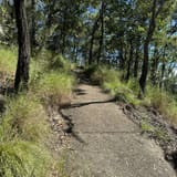 Mount Beerburrum Walking Track, Queensland, Australia - 634 Reviews ...