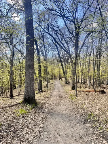 Best Kid Friendly Trails in Lake Maria State Park | AllTrails