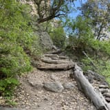 Catwalk National Recreation Trail, New Mexico - 724 Reviews, Map ...