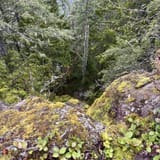 Barlow Point Trail, Washington - 226 Reviews, Map | AllTrails