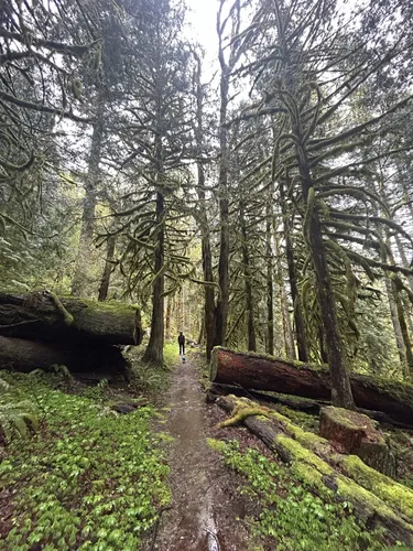 Best River Trails in Sandy | AllTrails