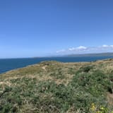 Tomales Point Trail, California - 6,512 Reviews, Map | AllTrails