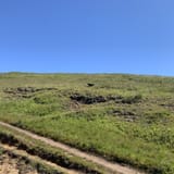 Tomales Point Trail, California - 6,630 Reviews, Map | AllTrails