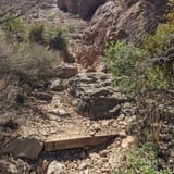 Aztec Cave Trail, Texas - 1,674 Reviews, Map | AllTrails