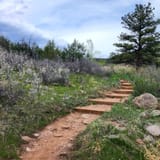 Hall Ranch Loop: Nighthawk to Bitterbrush, Colorado - 409 Reviews, Map ...