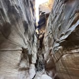 Bull Valley Gorge Trail, Utah - 206 Reviews, Map | AllTrails