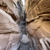 Bull Valley Gorge Trail, Utah - 199 Reviews, Map | AllTrails