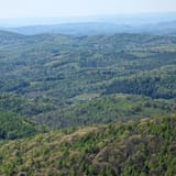 Buffalo Mountain Trail, Virginia - 736 Reviews, Map | AllTrails