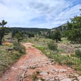 Hall Ranch Loop: Nighthawk to Bitterbrush, Colorado - 409 Reviews, Map ...