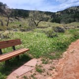 Hall Ranch Loop: Nighthawk to Bitterbrush, Colorado - 409 Reviews, Map ...