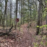 The Manistee River Loop Trail, Michigan - 2,069 Reviews, Map | AllTrails