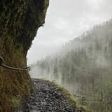 Eagle Creek Trail, Oregon - 867 Reviews, Map | AllTrails