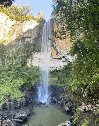 Best Kid Friendly Trails in Springbrook National Park | AllTrails