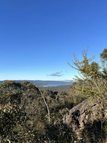 Best Camping Trails in Roses Gap | AllTrails
