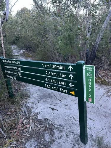 Best Camping Trails in Roses Gap | AllTrails