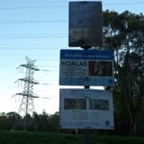 Bulimba Creek Loop, Queensland, Australia - 156 Reviews, Map | AllTrails