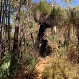 Mount Cooke Loop, Western Australia, Australia - 646 Reviews, Map ...
