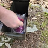 Morrison and Rimrock Trail Loop, Pennsylvania - 546 Reviews, Map ...