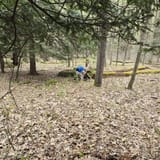 Morrison and Rimrock Trail Loop, Pennsylvania - 546 Reviews, Map ...