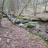 Morrison and Rimrock Trail Loop, Pennsylvania - 546 Reviews, Map ...