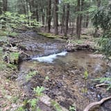 Morrison and Rimrock Trail Loop, Pennsylvania - 546 Reviews, Map ...