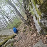Morrison and Rimrock Trail Loop, Pennsylvania - 546 Reviews, Map ...