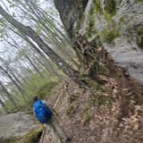 Morrison and Rimrock Trail Loop, Pennsylvania - 546 Reviews, Map ...