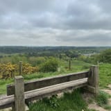 Old Pale Hill and Delamere Forest, Cheshire, England - 1,041 Reviews ...