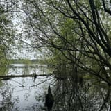 Old Pale Hill and Delamere Forest, Cheshire, England - 1,041 Reviews ...